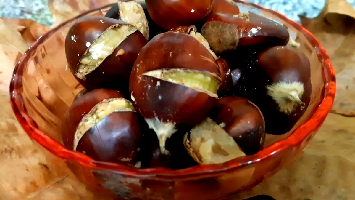 Receita de Castanhas Cozidas com Erva Doce e Canela