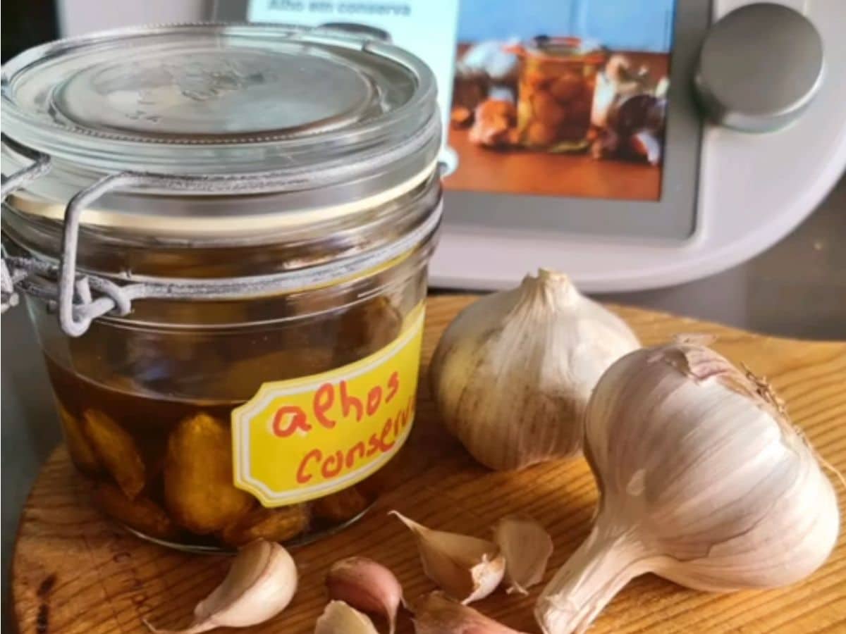 Receita de Alho de Conserva em Azeite