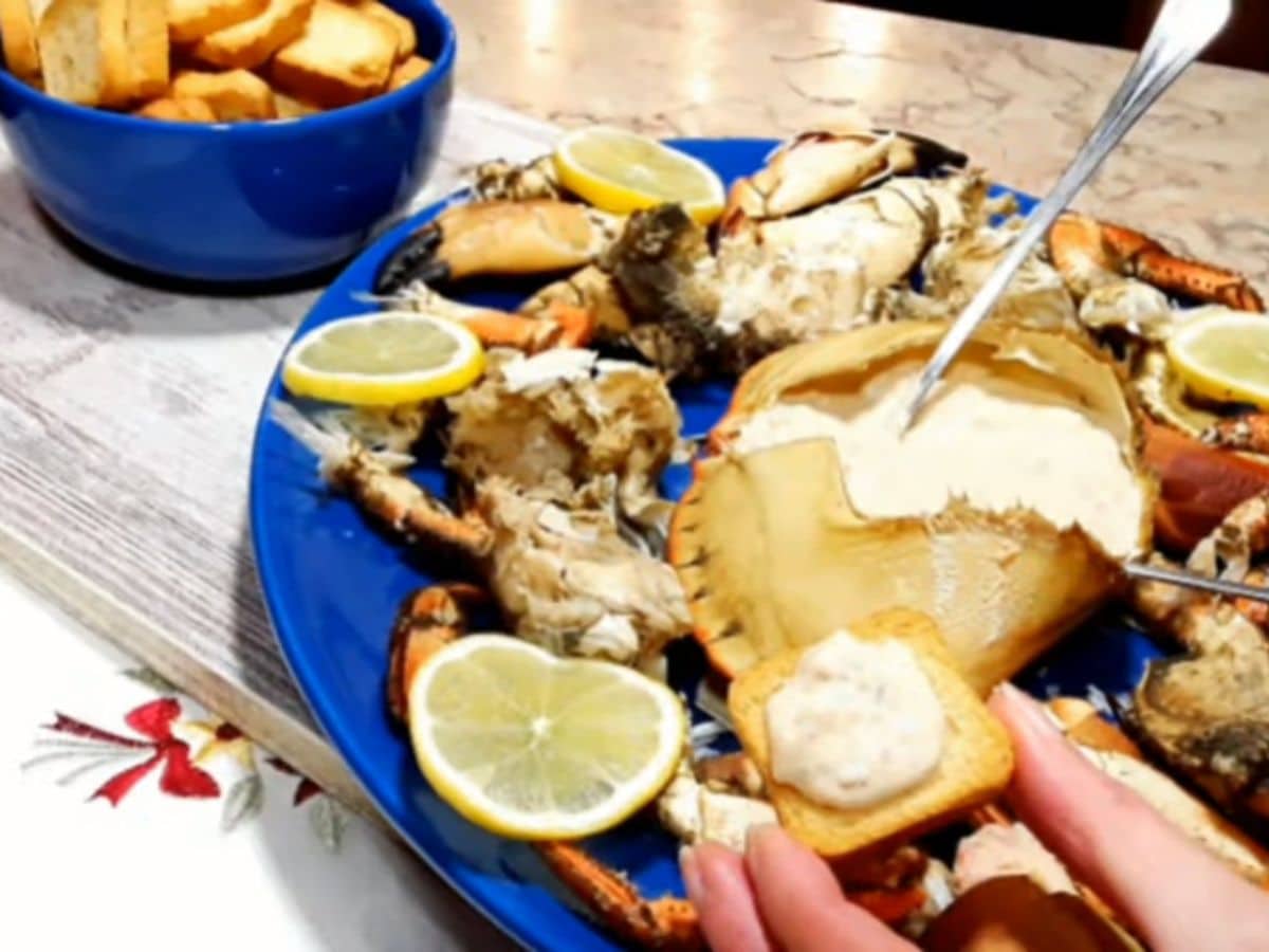 Receita da Sapateira Recheada muito simples