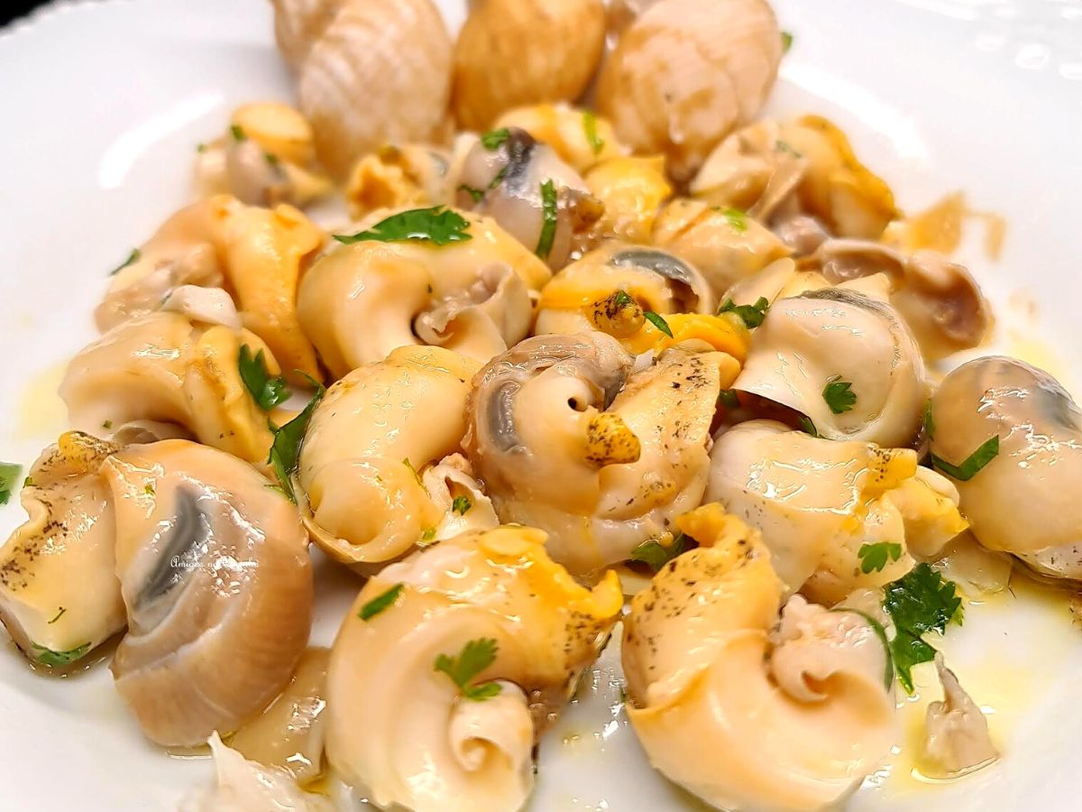 Receita da Salada de Búzios