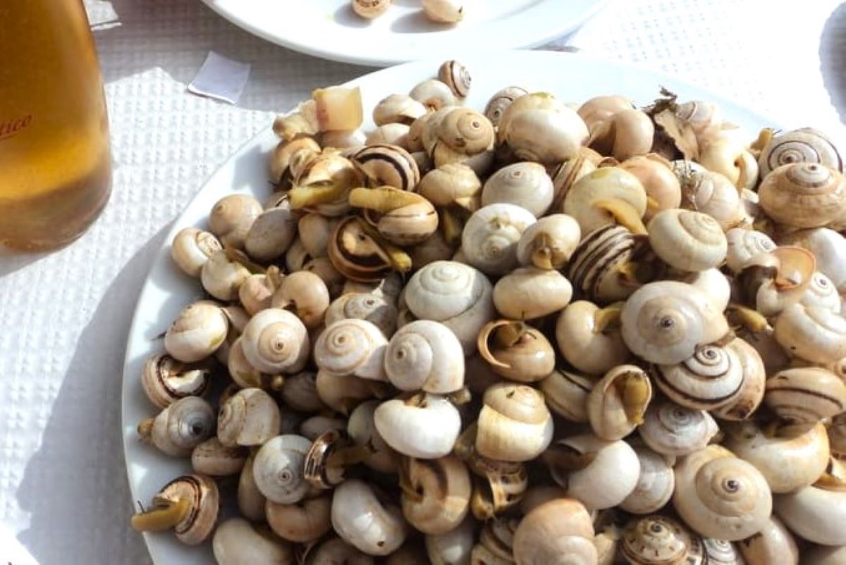 Em dias de sol, caracóis e cerveja são a melhor companhia