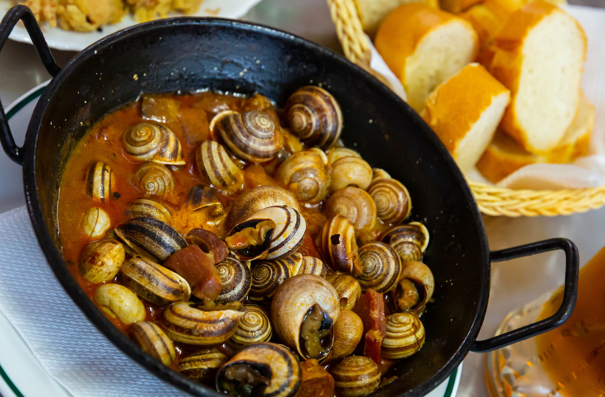 Caracóis: Uma iguaria para saborear ao sol