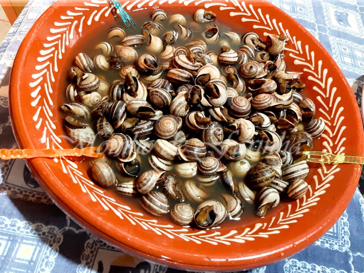 Receita de Caracóis para o petisco perfeito - Receitas de Culinária TV