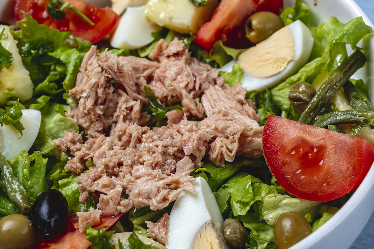 5 receitas com atum em lata práticas e rápidas