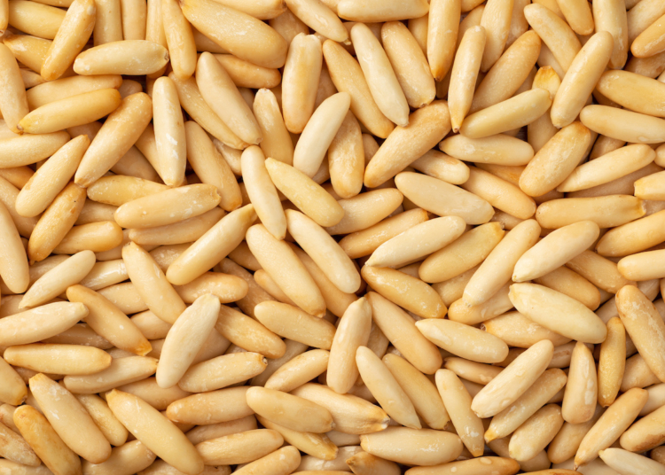 Pinhão: Aprenda a escolher pela cor